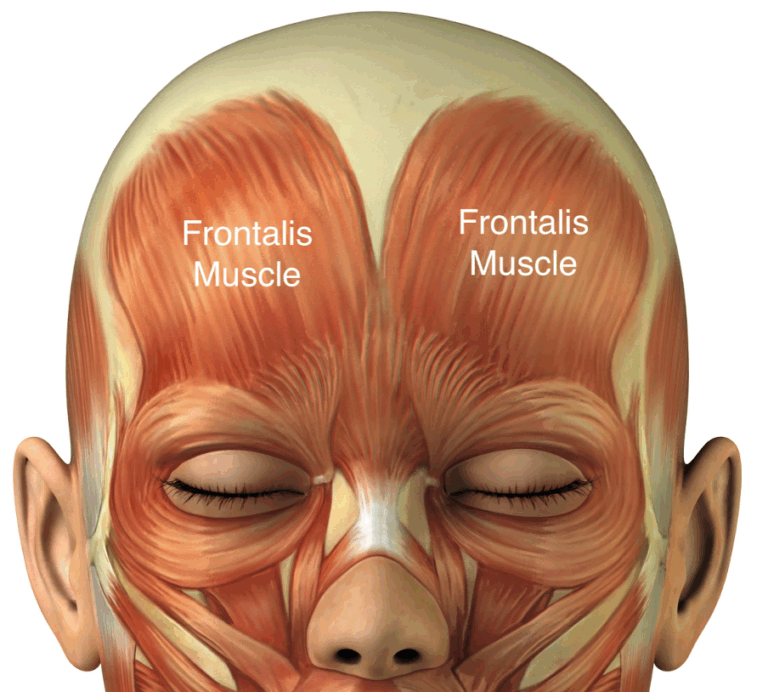 Forehead Botox for Lines | Bay Aesthetics Singapore